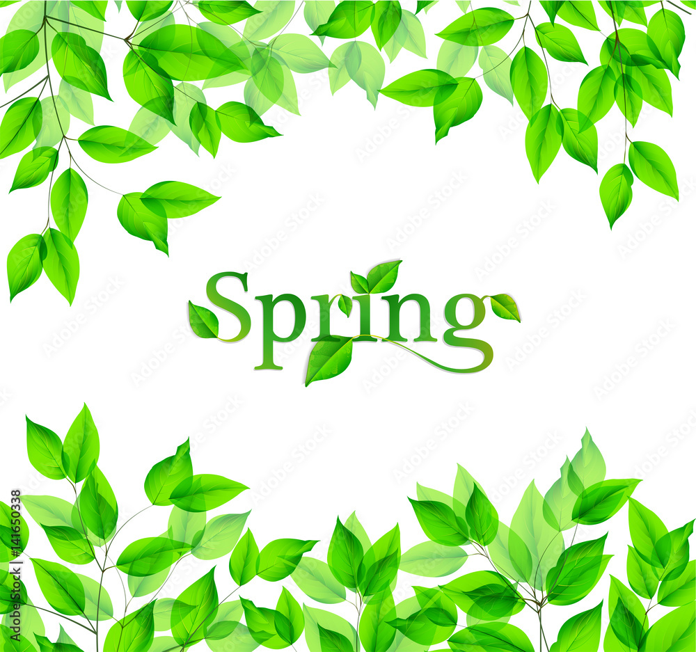 Isolated leaves with spring lettering.Vector illustration.EPS10 Stock ...