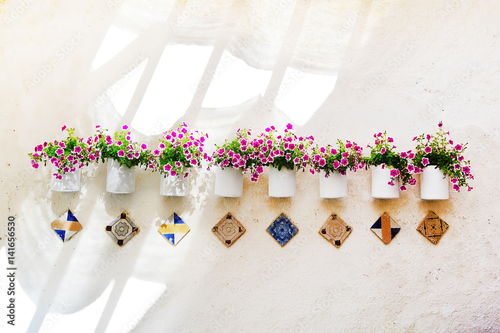 Vasi di fiori appesi al muro foto de Stock | Adobe Stock