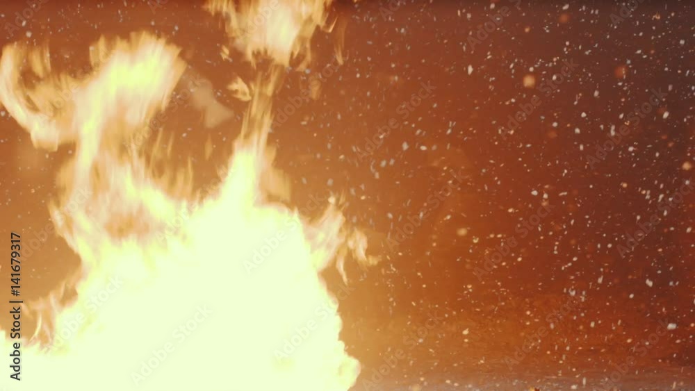 Dove flying on fire flames. Two birds flying on flames fire on falling ...