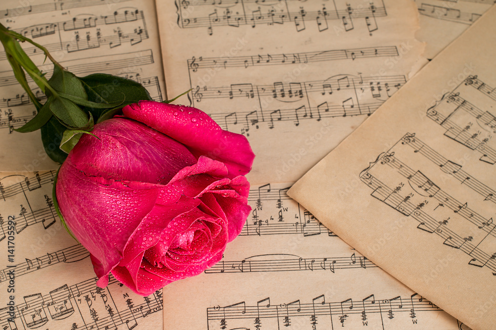 Red rose flower and music notes sheet Stock Photo | Adobe Stock