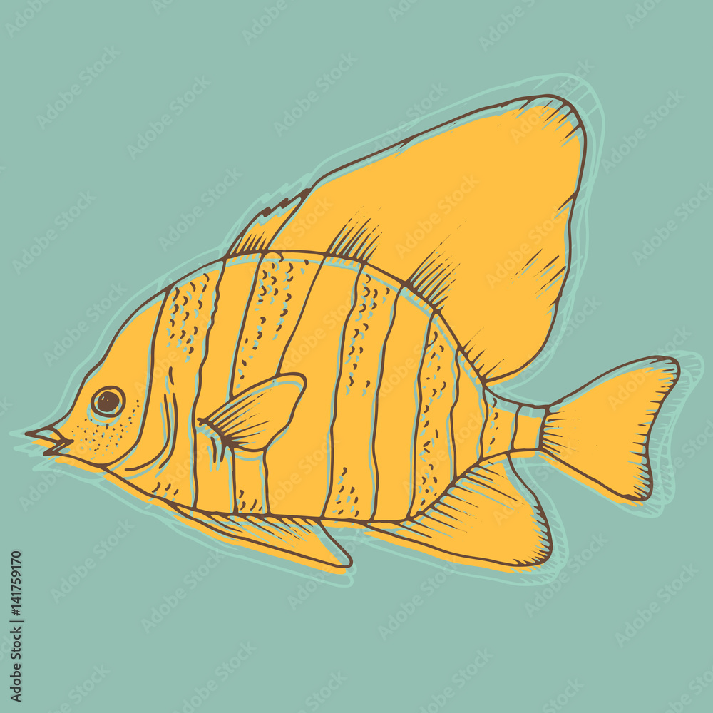 Vector zebra fish, coral fish hand drawn abstract illustration. Sketch ...