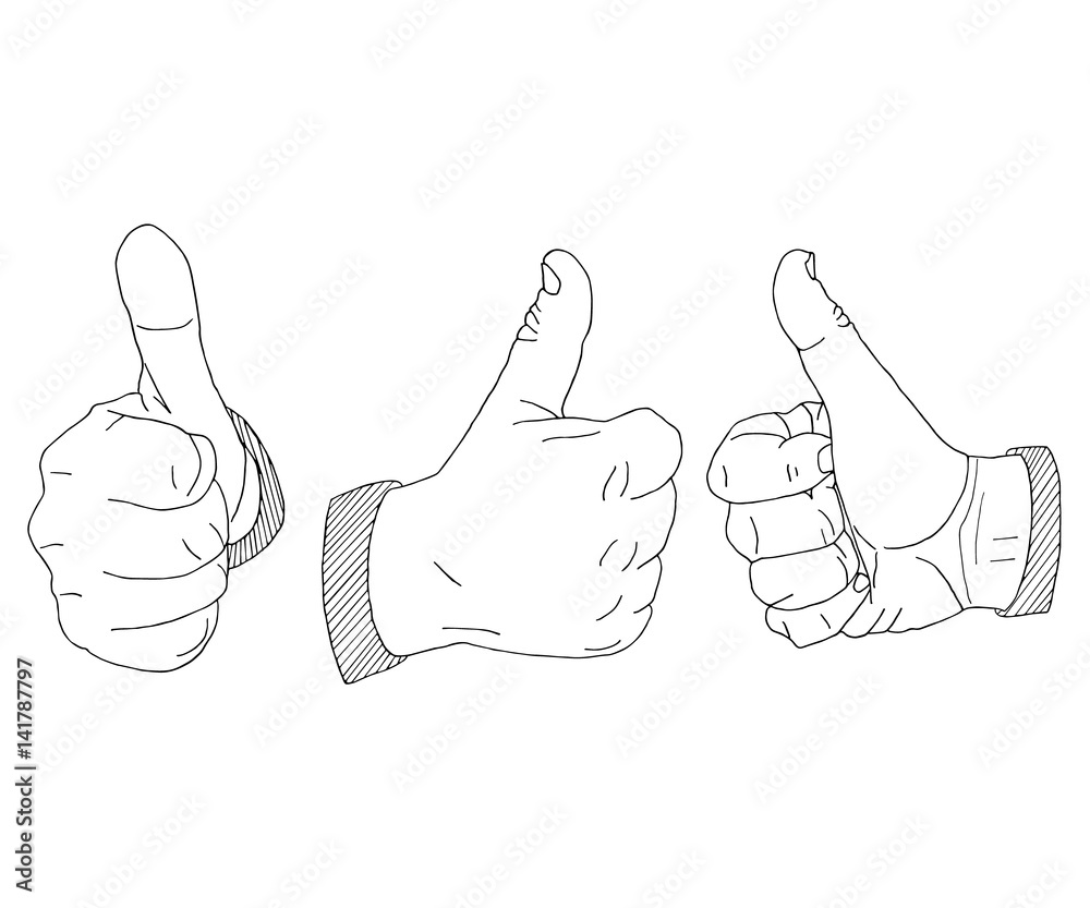 Palms Hand drawn sketched vector illustration. Stock Vector | Adobe Stock