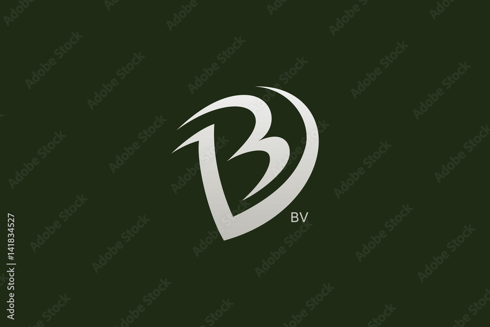 Letter B and V Monogram Logo Design Vector Stock Vector | Adobe Stock