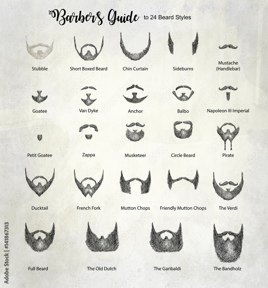 Barbers guide for beard styles Stock Illustration | Adobe Stock