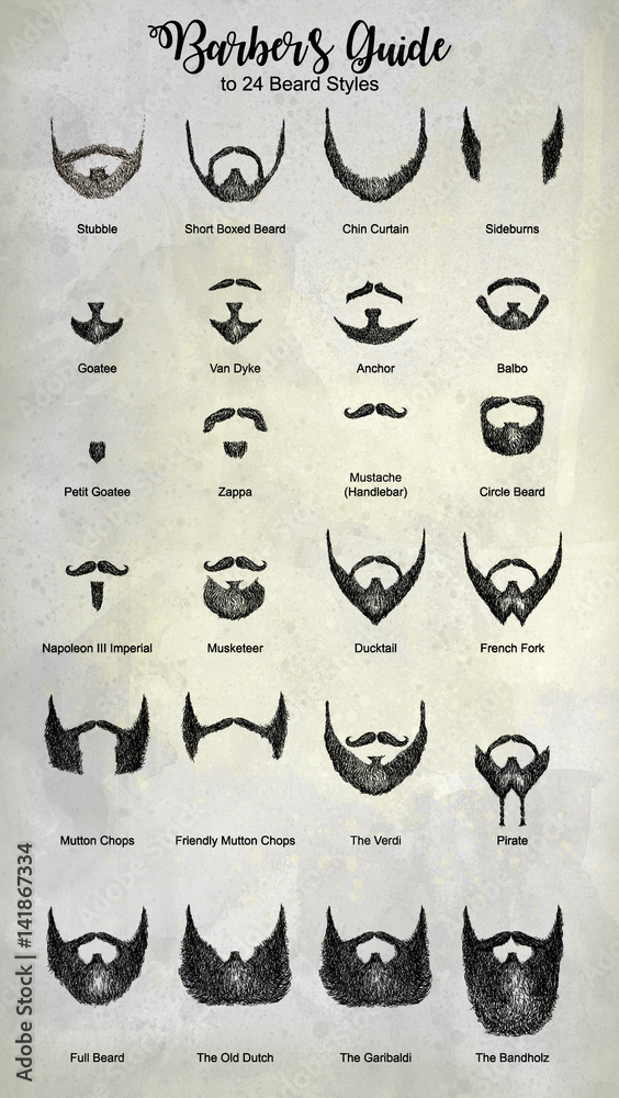 Barbers guide for beard styles Stock Illustration | Adobe Stock