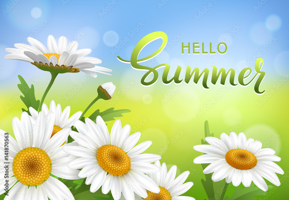 Hello Summer handmade lettering and meadow with realistic daisy ...