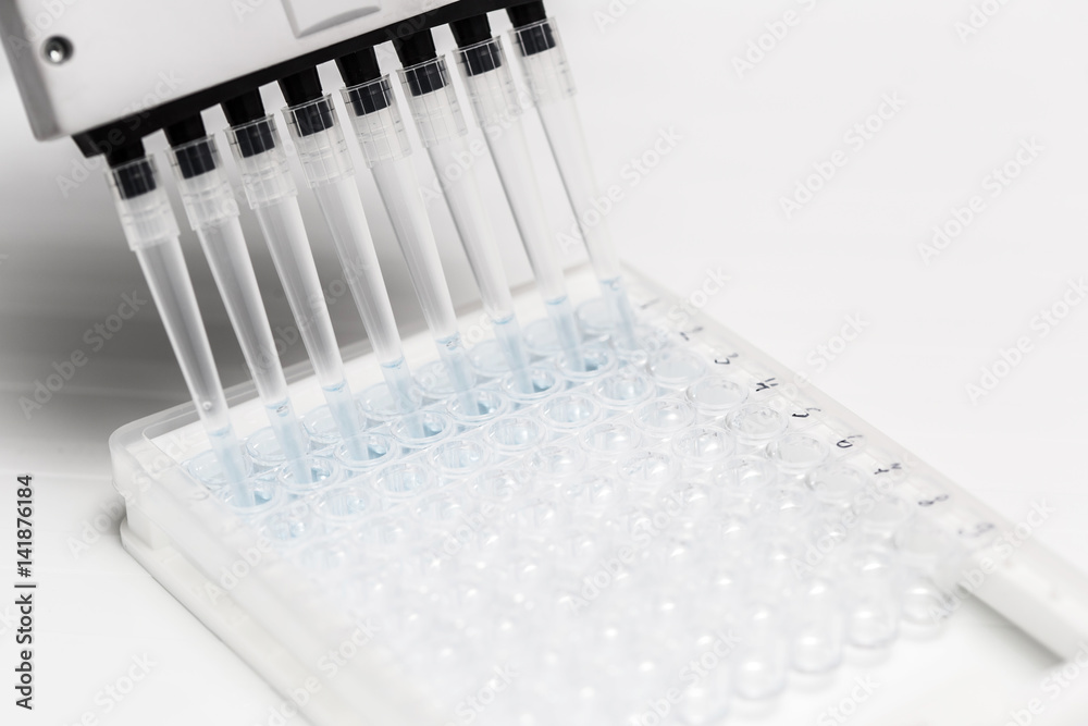 Pipette depositing samples into a 96 well micro-plate Stock Photo ...