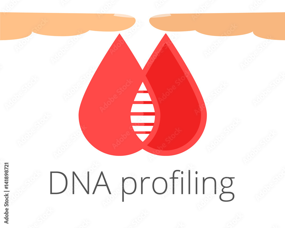 DNA prifiling concept.Two blood drops formed DNA helix Stock Vector ...