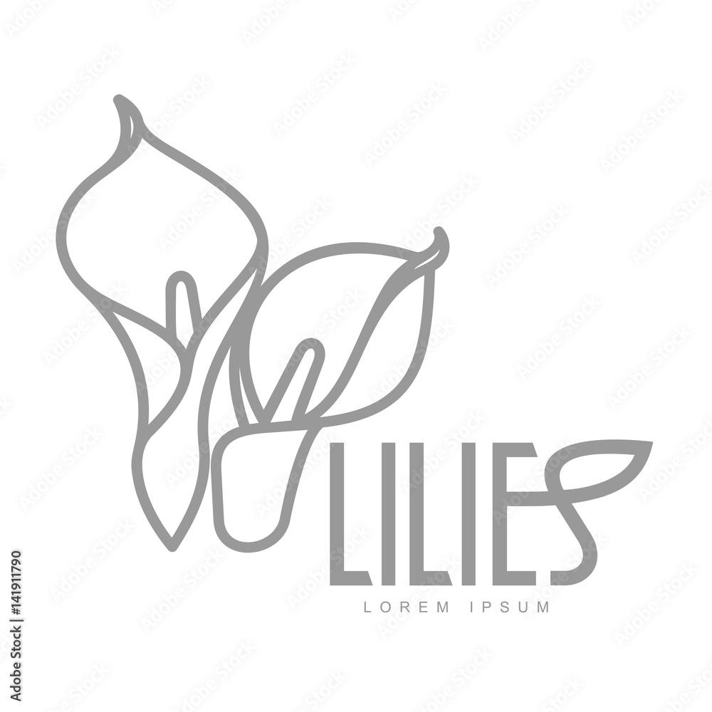 Elegant lilies logo template Stock Vector | Adobe Stock