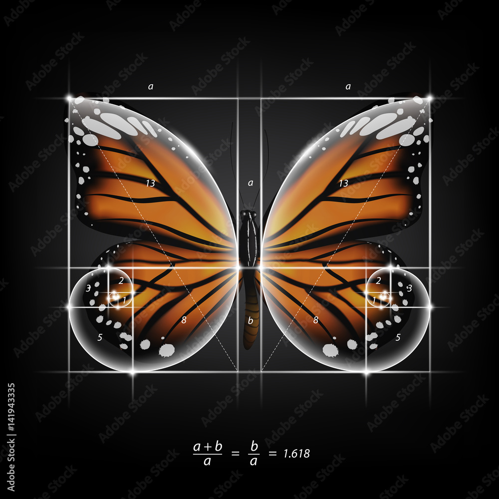 Vetor de Golden section (ratio, divine proportion) and golden spiral on ...