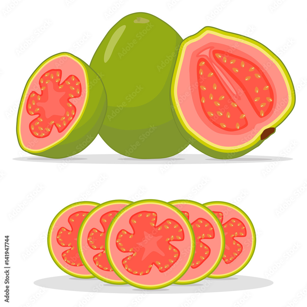 Guava Drawing