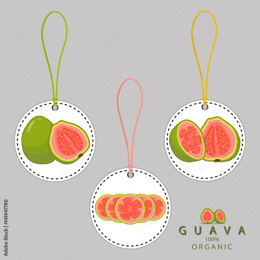 Vector illustration logo for whole ripe fruit red guava,cut half sliced ...