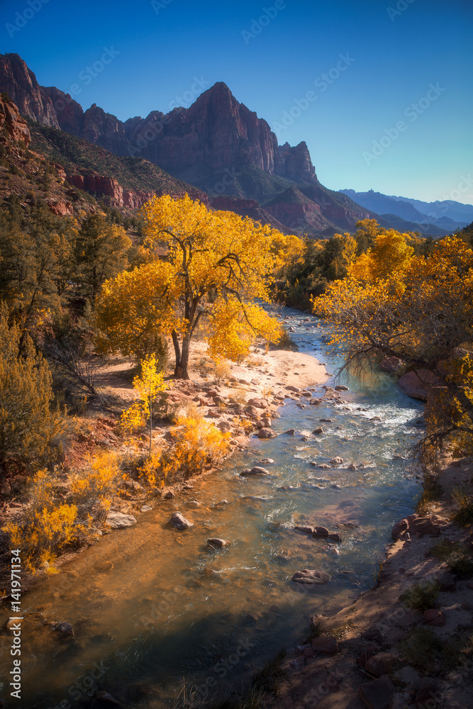 View of the Watchman mountain and the virgin river in Zion National ...