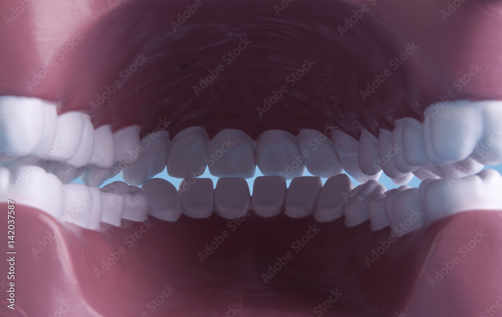 Teeth inside of mouth Stock Photo | Adobe Stock
