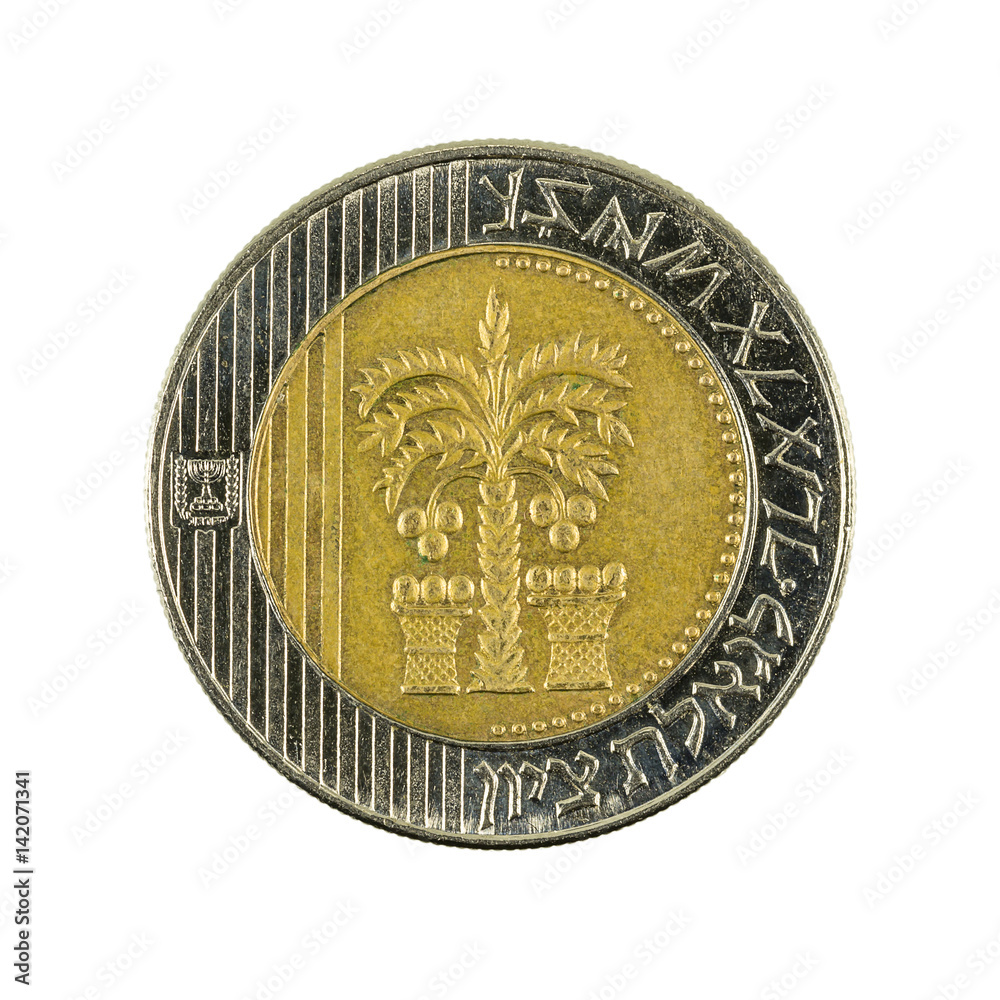 10 israeli new shekel coin reverse obverse isolated on white background ...