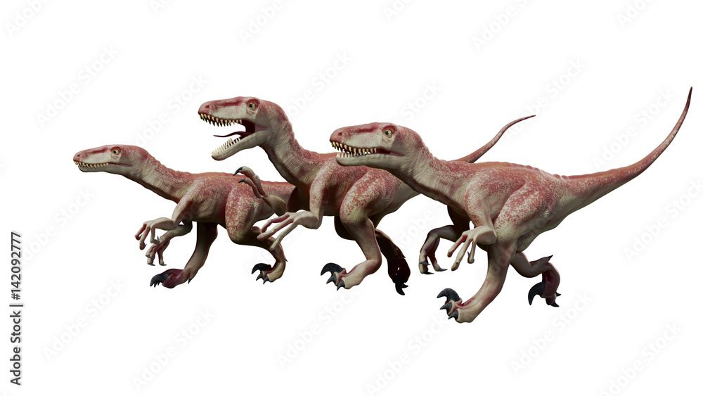 pack of raptor dinosaurs, running Dromaeosaurs, 3d illustration ...