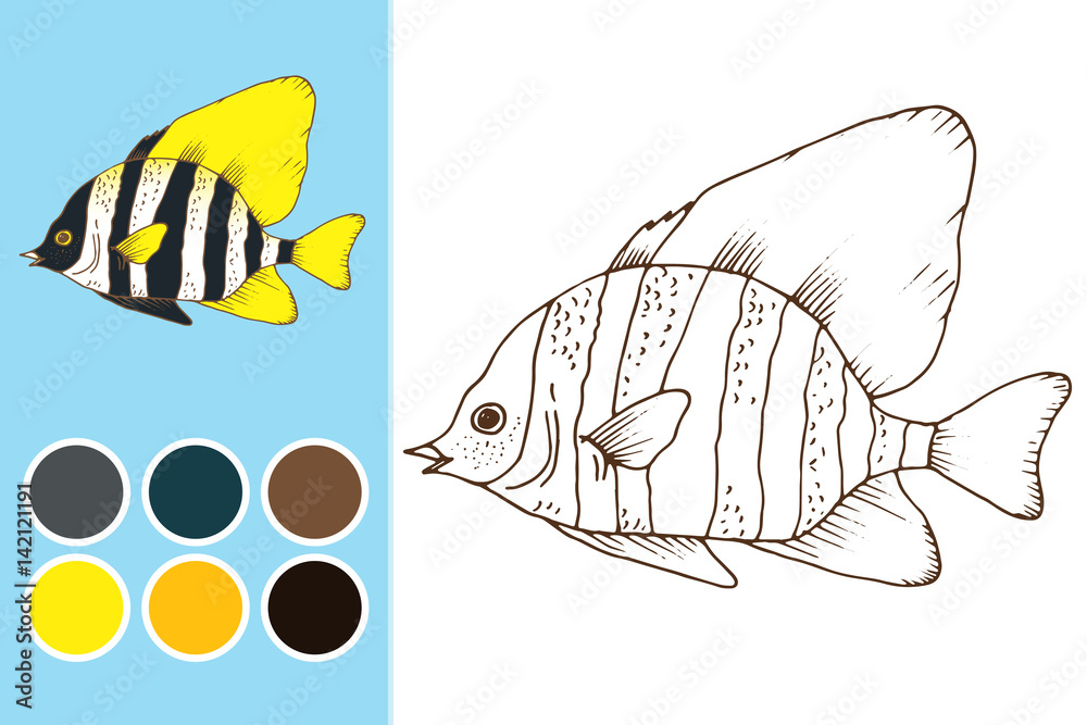 Coloring book, children game design. Vector zebra fish, coral fish hand ...