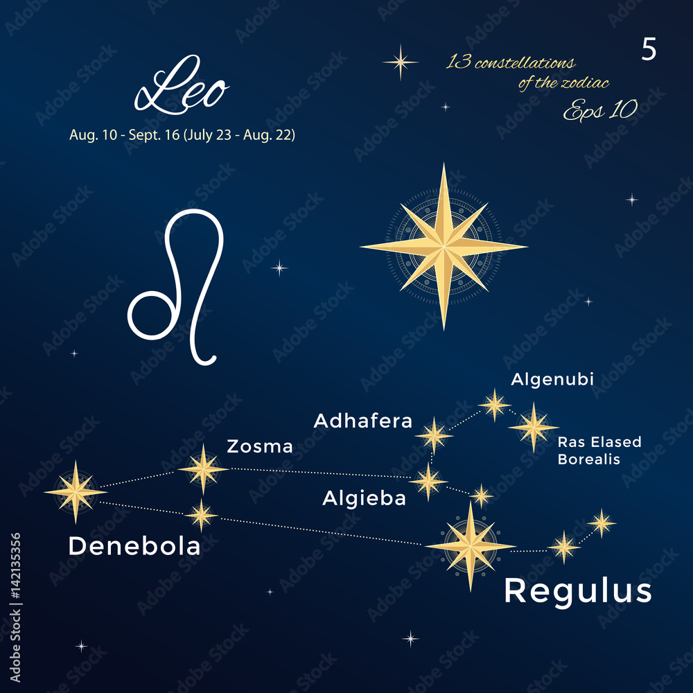 Leo. High detailed vector illustration. 13 constellations of the zodiac ...