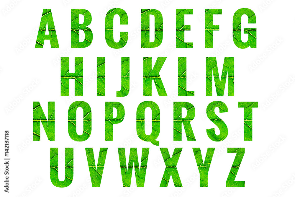Abc green leaf pattern Alphabet letters isolated on white background ...