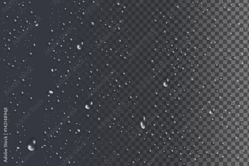 Vector collection of realistic water drops on the transparent ...