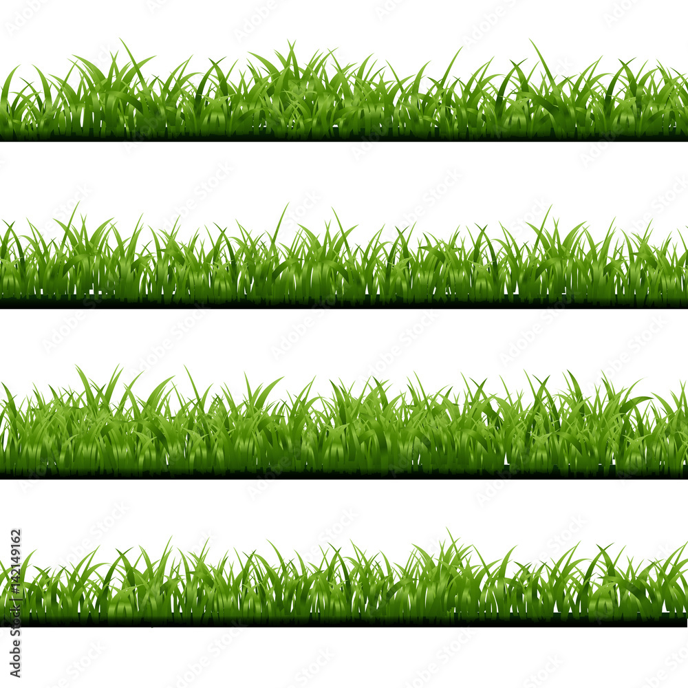 Vector realistic isolated green grass borders on the white background ...