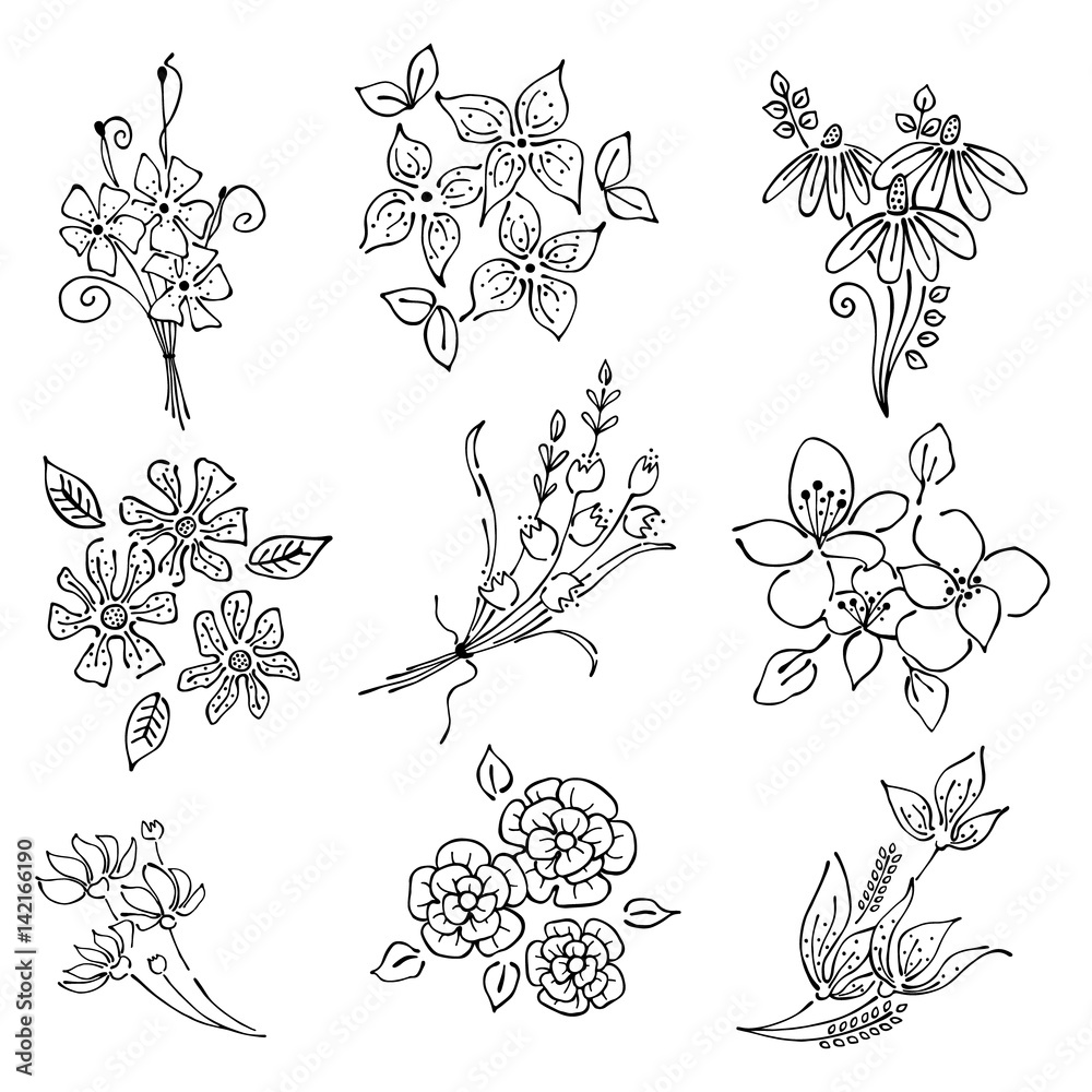 Vector floral set, graphic illustration. Flowers with leaves isolated ...