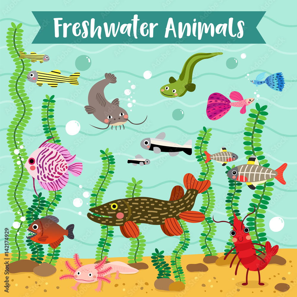 Freshwater Animals cartoon with underwater background, Vector ...