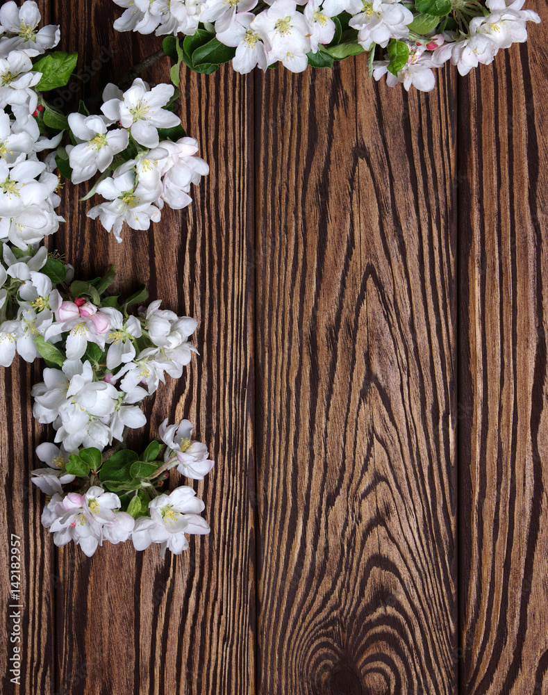 Spring flowers on wood Stock Photo | Adobe Stock