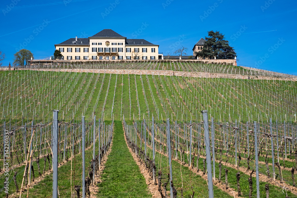 Schloss Johannisberg Stock Photo | Adobe Stock