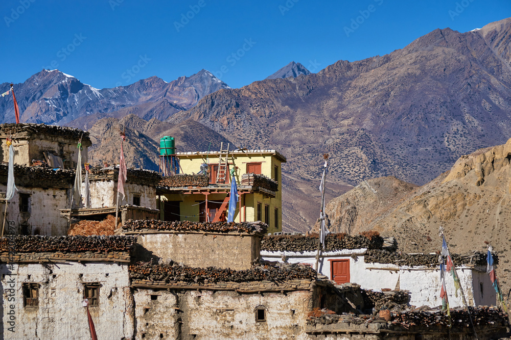 Traditional tibetan houses in a rural village Lupra in Himalayas, Nepal ...