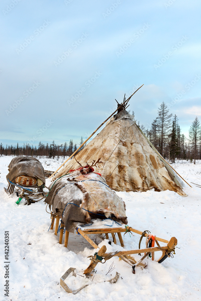 Poster Camp of nomadic tribe in the polar tundra at a frosty day – Wall ...