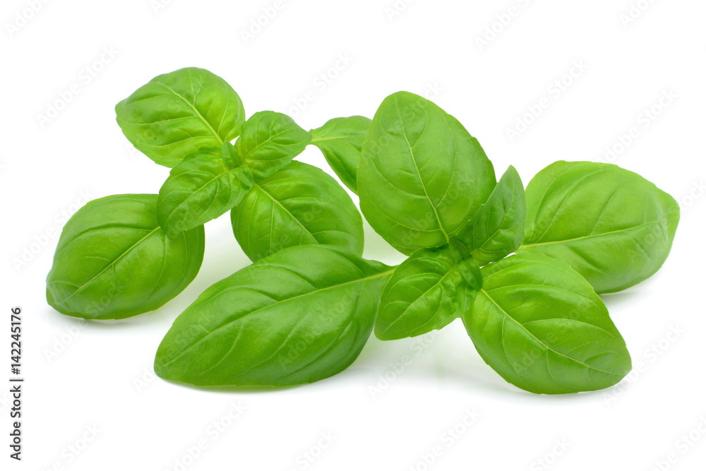 bazylia Stock Photo | Adobe Stock