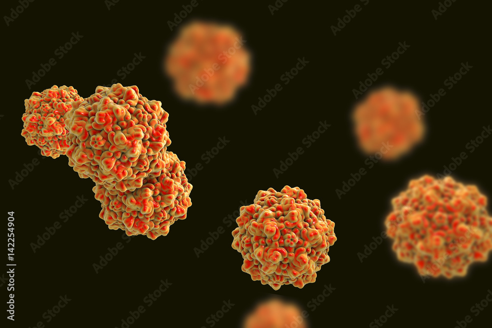 Parvovirus B19 isolated on black background, a virus which causes ...