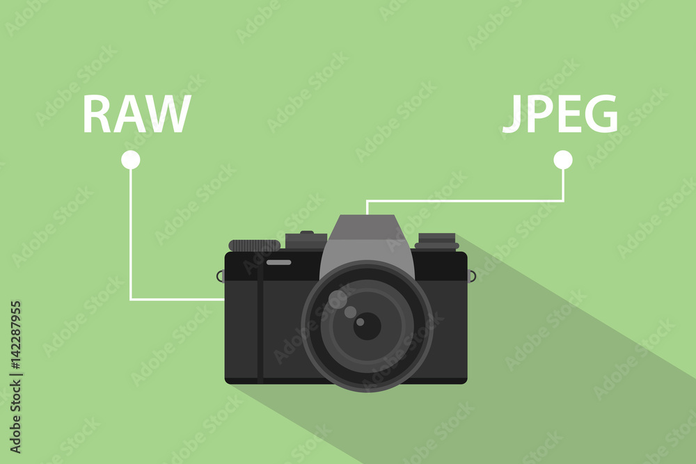 Comparing format file of camera between RAW format and JPEG format ...