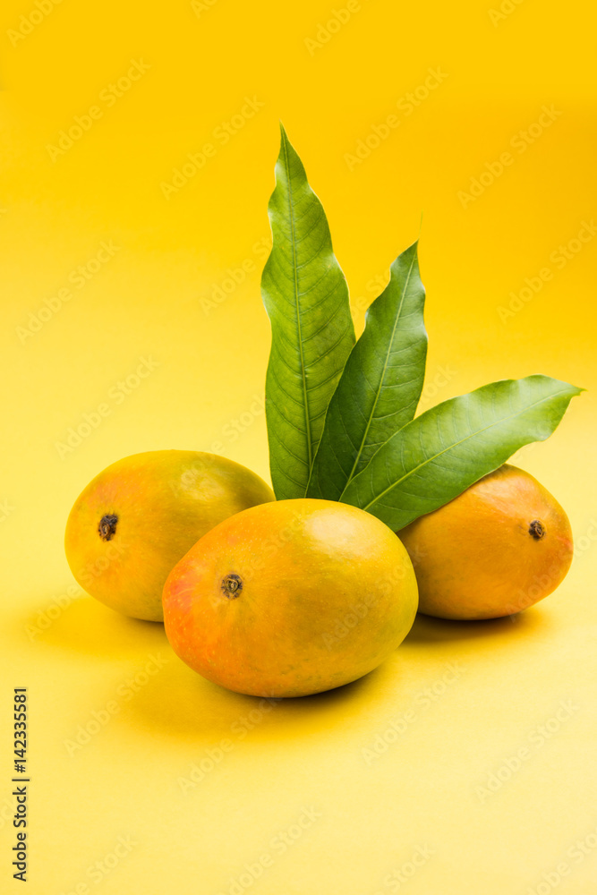 King of fruits; Alphonso yellow Mango fruit duo with stems and green ...