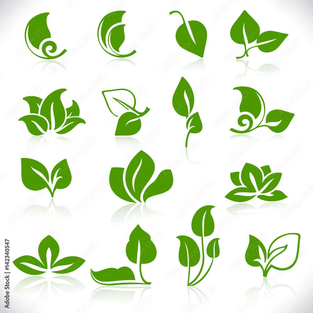 Simple Leaf Shapes