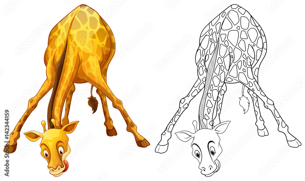 Doodles drafting animal for giraffe Stock Vector | Adobe Stock