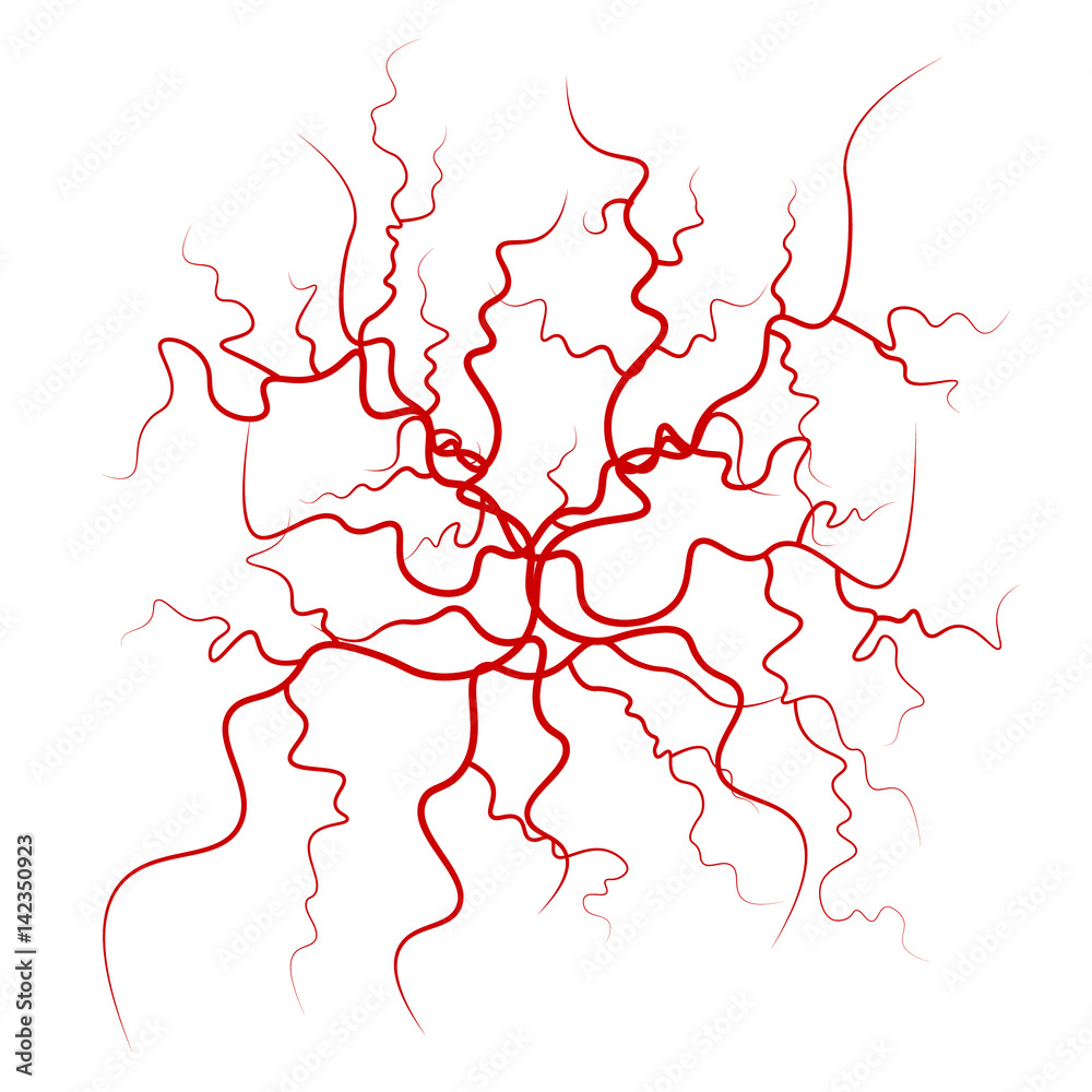 Human Blood Veins Vector. Red Blood Vessels Design. Illustration ...