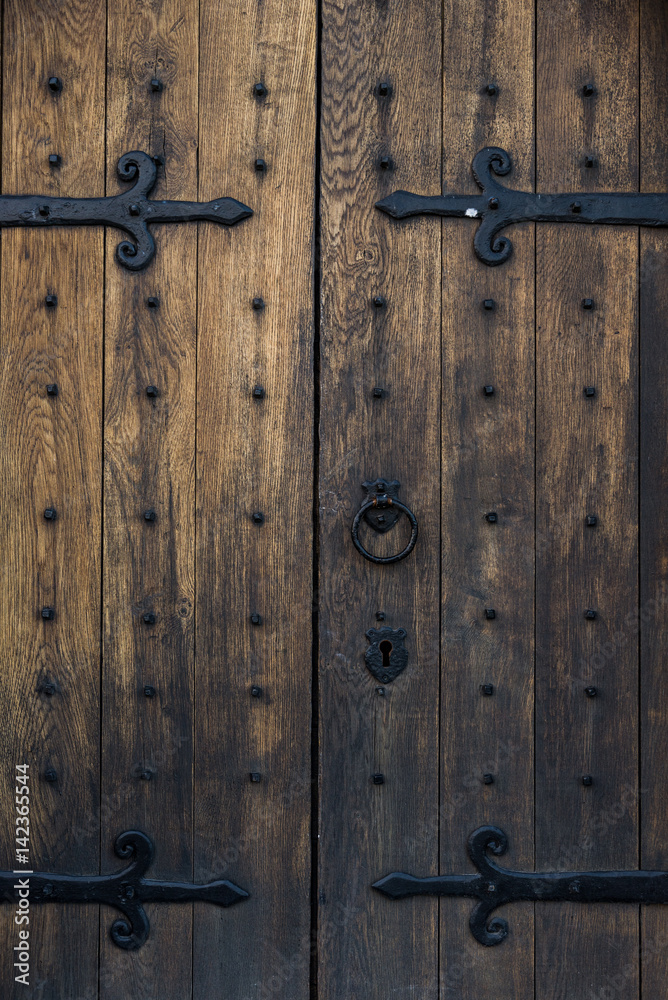 Castle Door Texture
