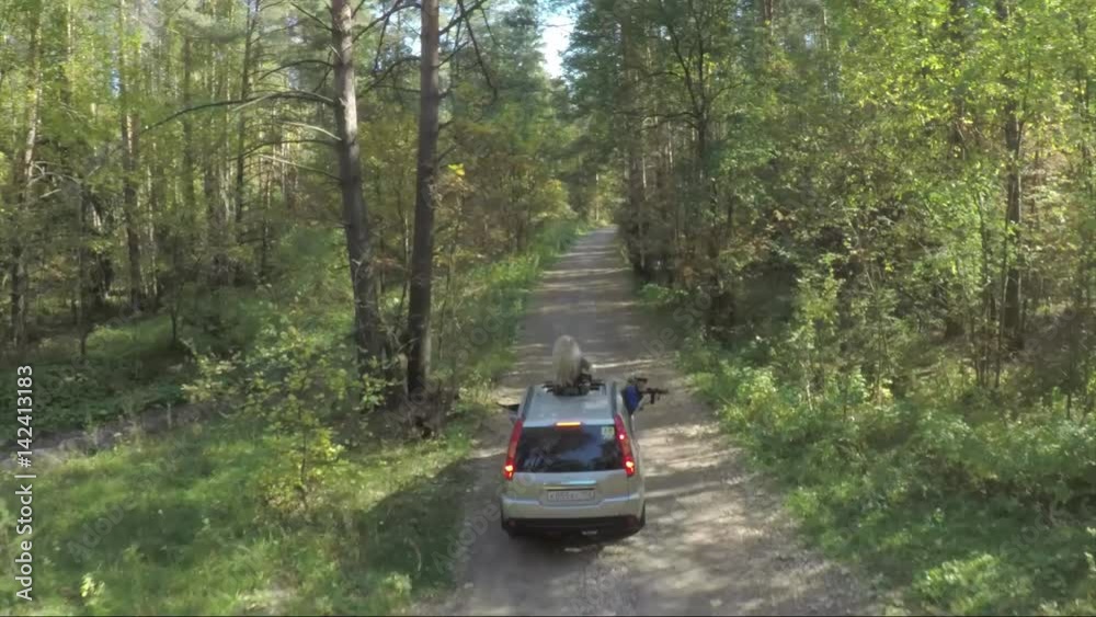Flying over the car in forest. The quadcopter follows the jeep on the ...