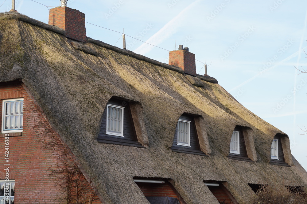 Dachgauben in einem Reetdach Stock Photo | Adobe Stock