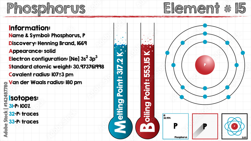 Large and detailed infographic of the element of Phosphorus Stock ...