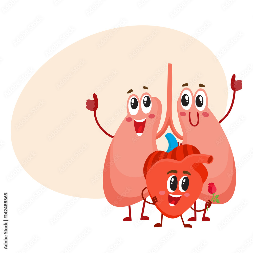 Funny, smiling human lungs and heart characters, internal organs in the ...