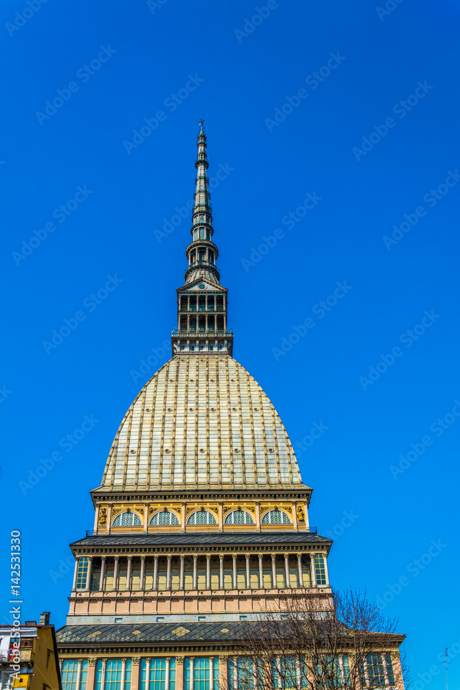 view of the mole antonelliana which is the most famous landmark of the ...