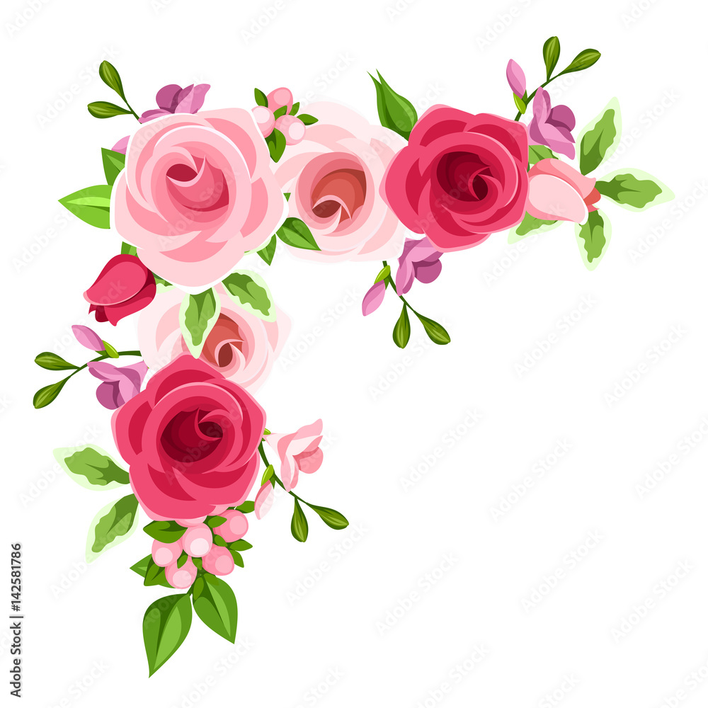 Vector corner background with red, pink and purple roses and freesia ...
