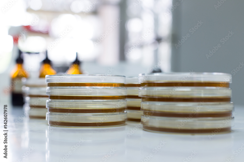 Eosin Methylene Blue (EMB) Agar for culture medium for Inoculum tests ...
