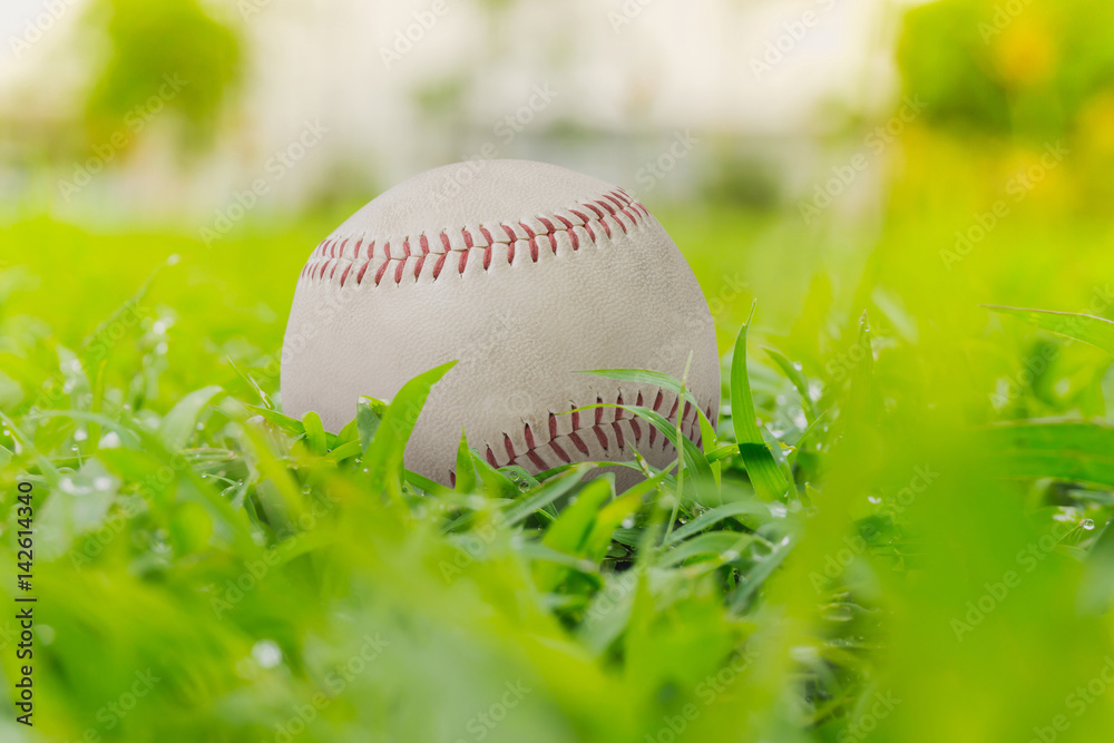 Baseball Grass Background