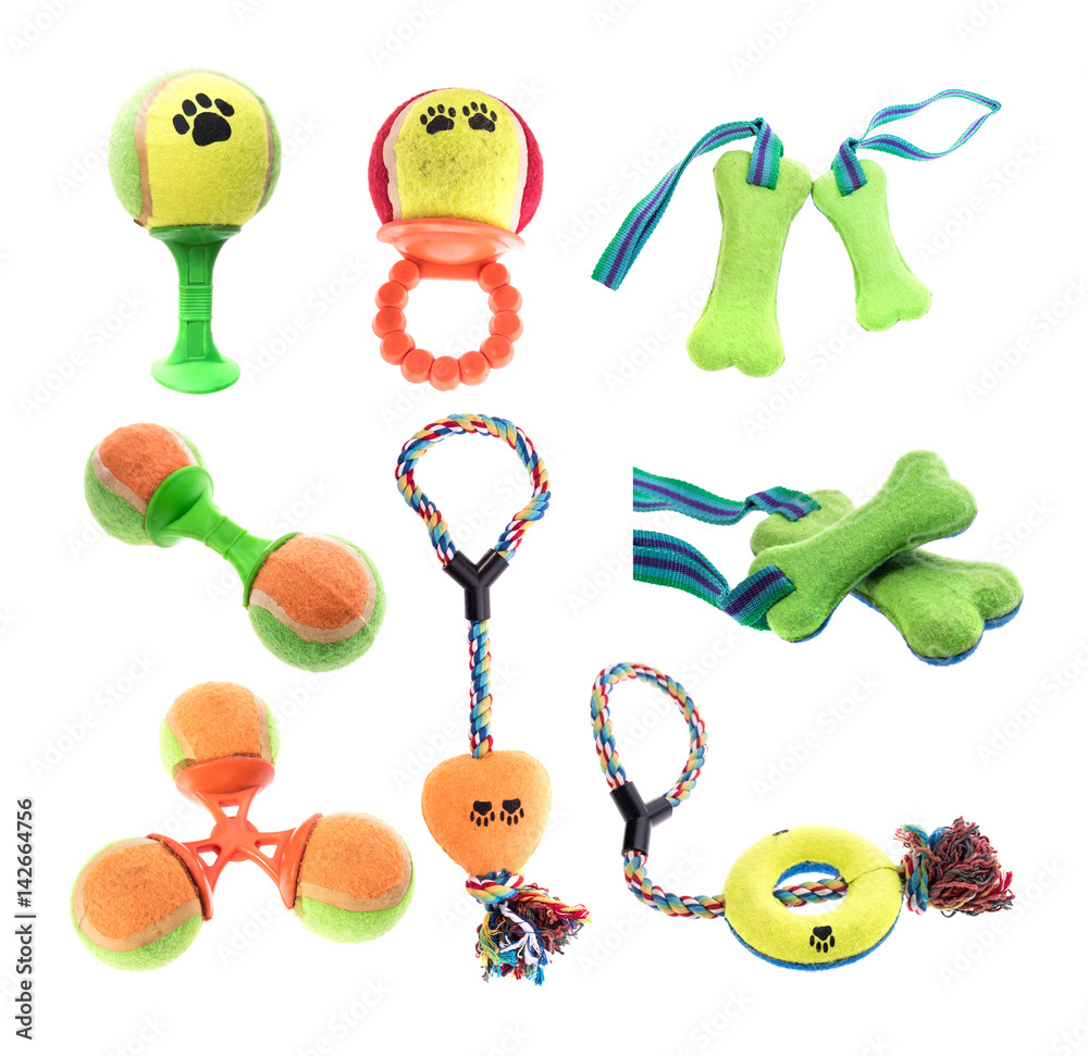 Pet Toy collection on White Background Stock Photo | Adobe Stock