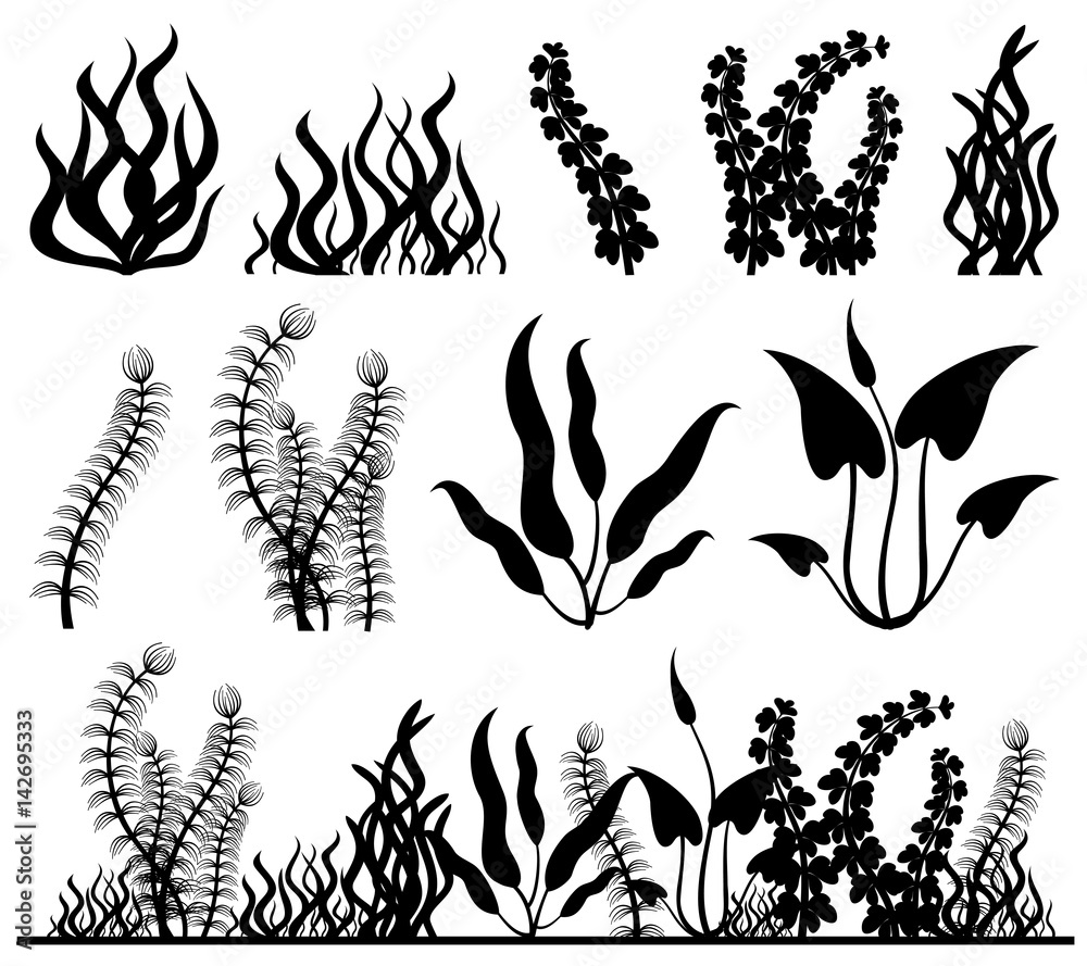 Sea plants and aquarium seaweed vector set Stock Vector | Adobe Stock