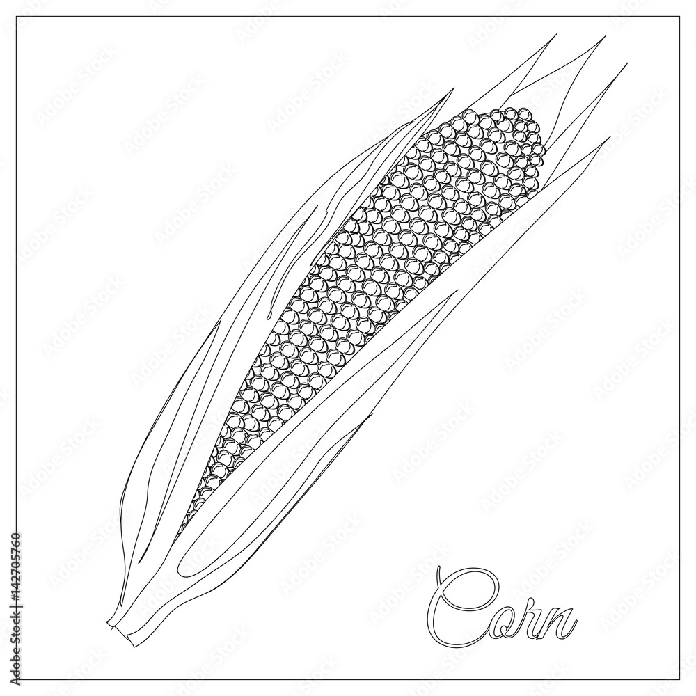 Corn Stalk Coloring Pages